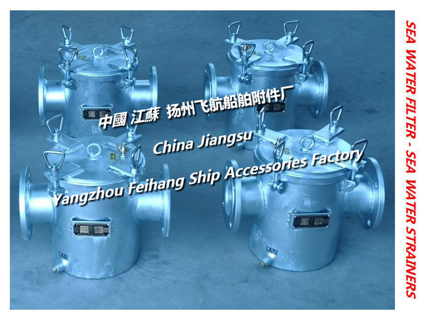 Daily fresh water pump inlet suction filter / suction crude water ...